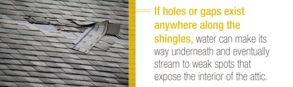 Mold Damage on Roofs & How to Identify | Sunshine Contracting