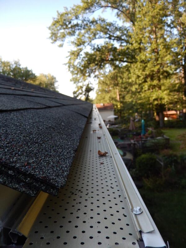 Leaf Relief Leaf Protection | Leaf Relief Systems | Sunshine ...