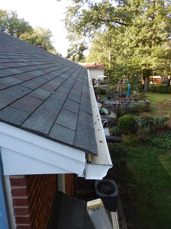 Leaf Relief Leaf Protection | Leaf Relief Systems | Sunshine ...